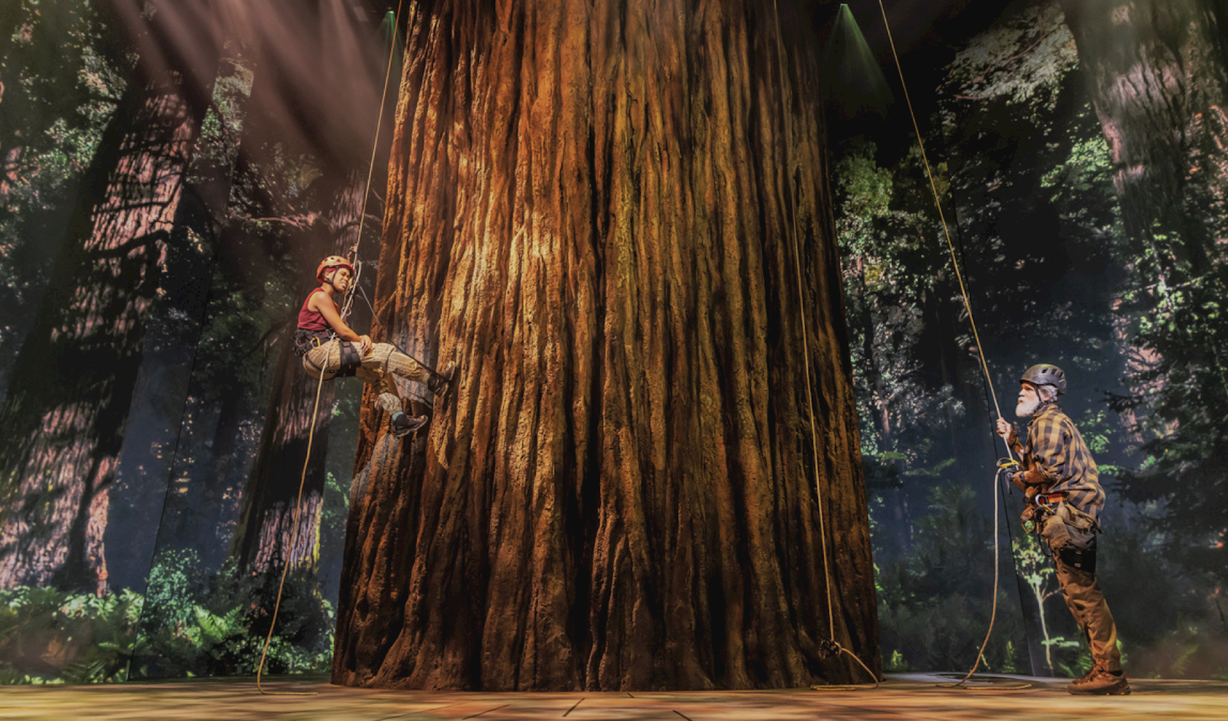 Redwood | PRG